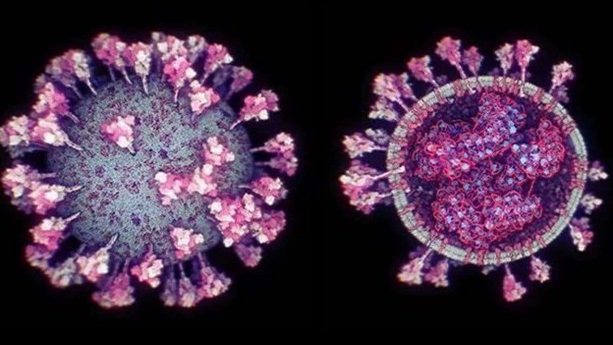 In Quali Paesi è Diffusa La Variante Delta Ay42 Del Coronavirus