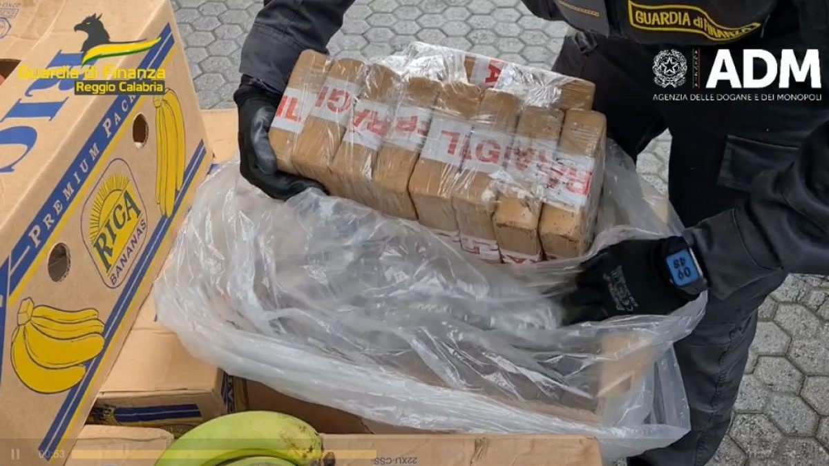 Sequestro Record Al Porto Di Gioia Tauro Oltre 2700 Chili Di Cocaina