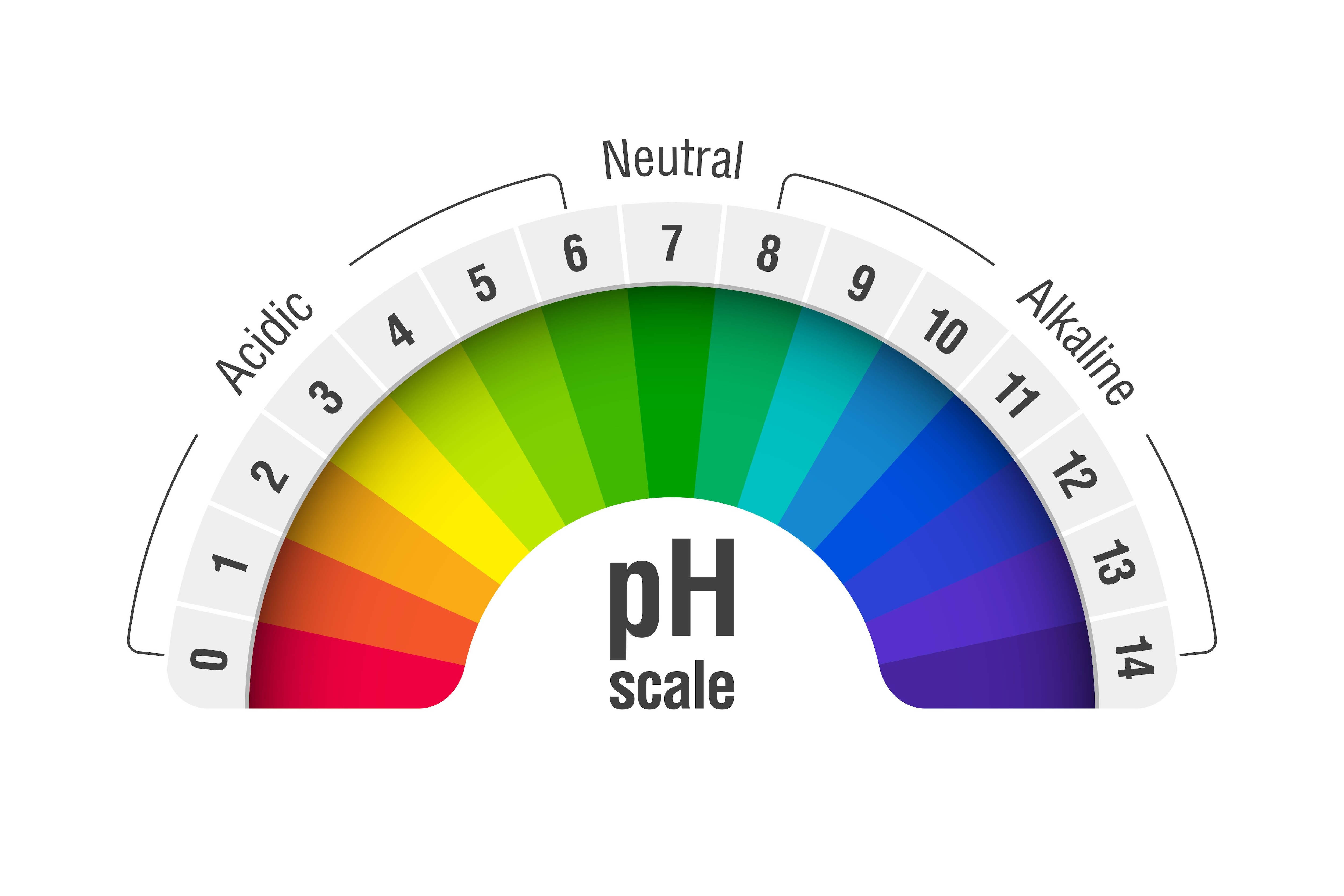 Cosa è Il Ph Come Si Misura E Come Influenza La Vita Di Tutti I Giorni