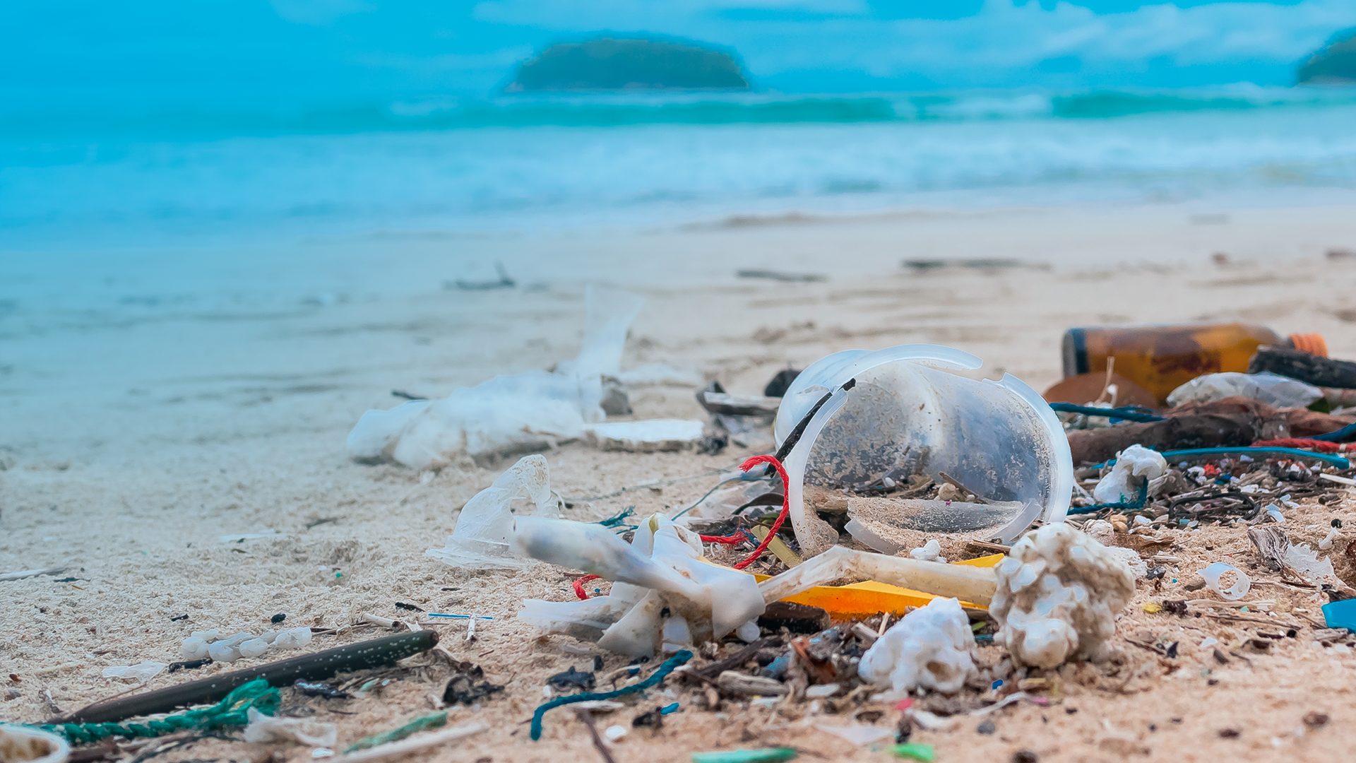 Quali Sono I Tempi Di Degradazione Dei Rifiuti In Mare E Negli Oceani